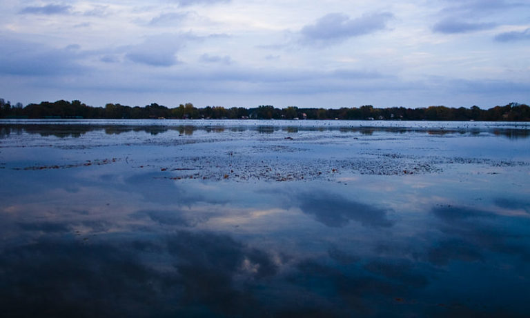 E. coli Closes Lake Minnetonka Beaches | Alpha News MN