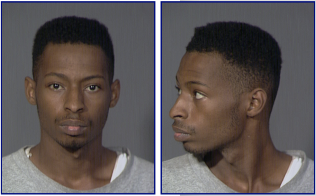 Minneapolis Park Arrest Nets Predatory Offender | Alpha News MN