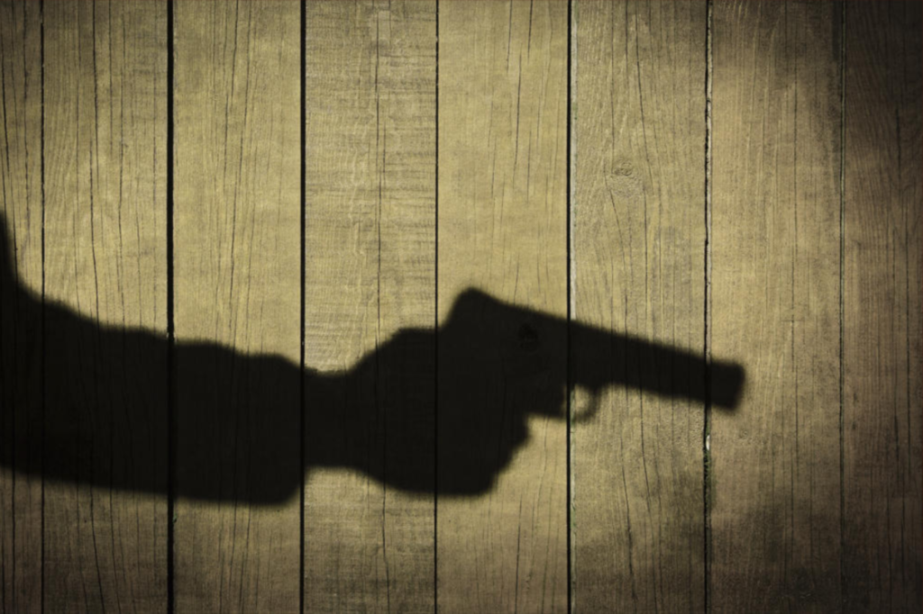 Alyssa Ahlgren: Mental Health, Evil, and Mass Shootings | Alpha News MN