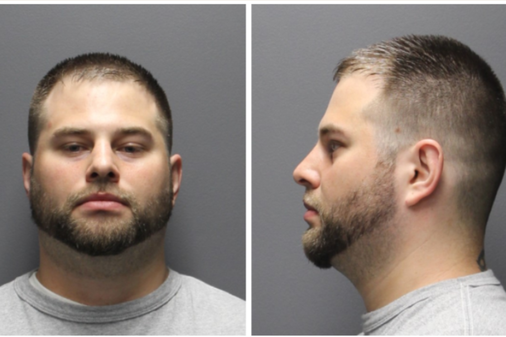 Career Criminal with 19 Prior Felonies Charged in Fridley Burglary ...