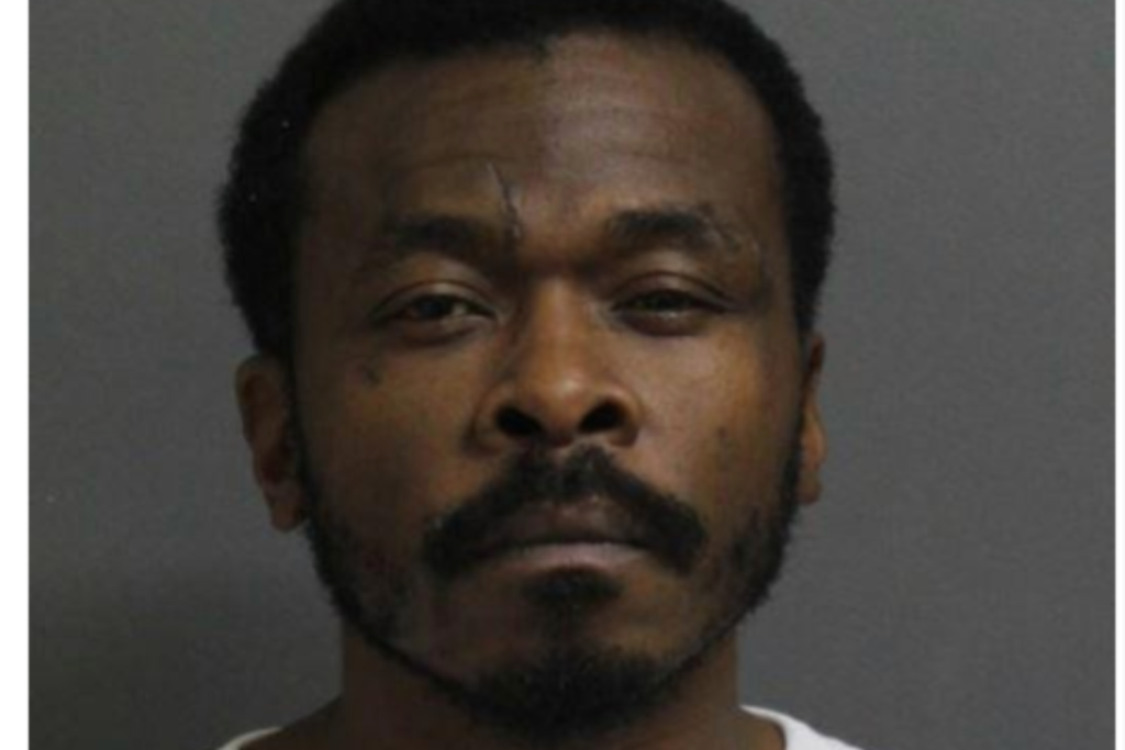 Suspect Jailed Twice in Weeks before Murder, Previously Convicted in ...