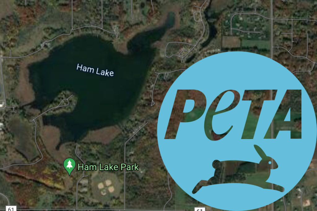 PETA suggests more 'pig-positive' name for Ham Lake, Minnesota