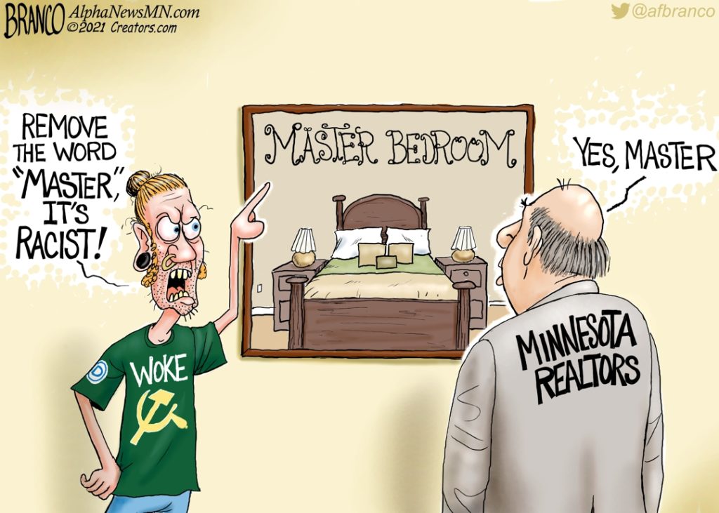 Alpha news cartoon: Master plan | Alpha News MN