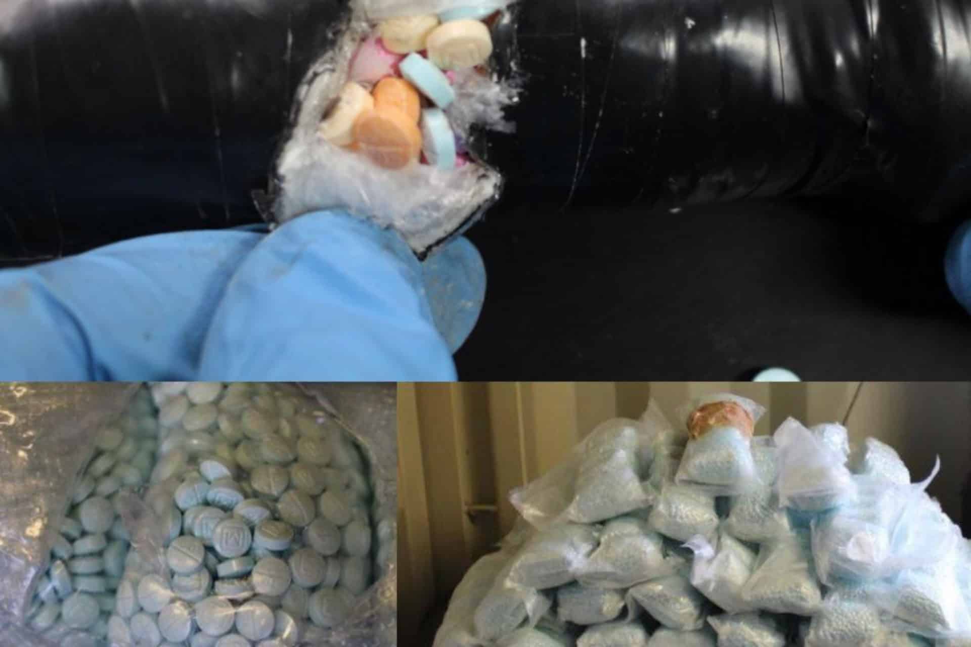 Caryn Sullivan: The deadly consequence of a porous border | Alpha News MN