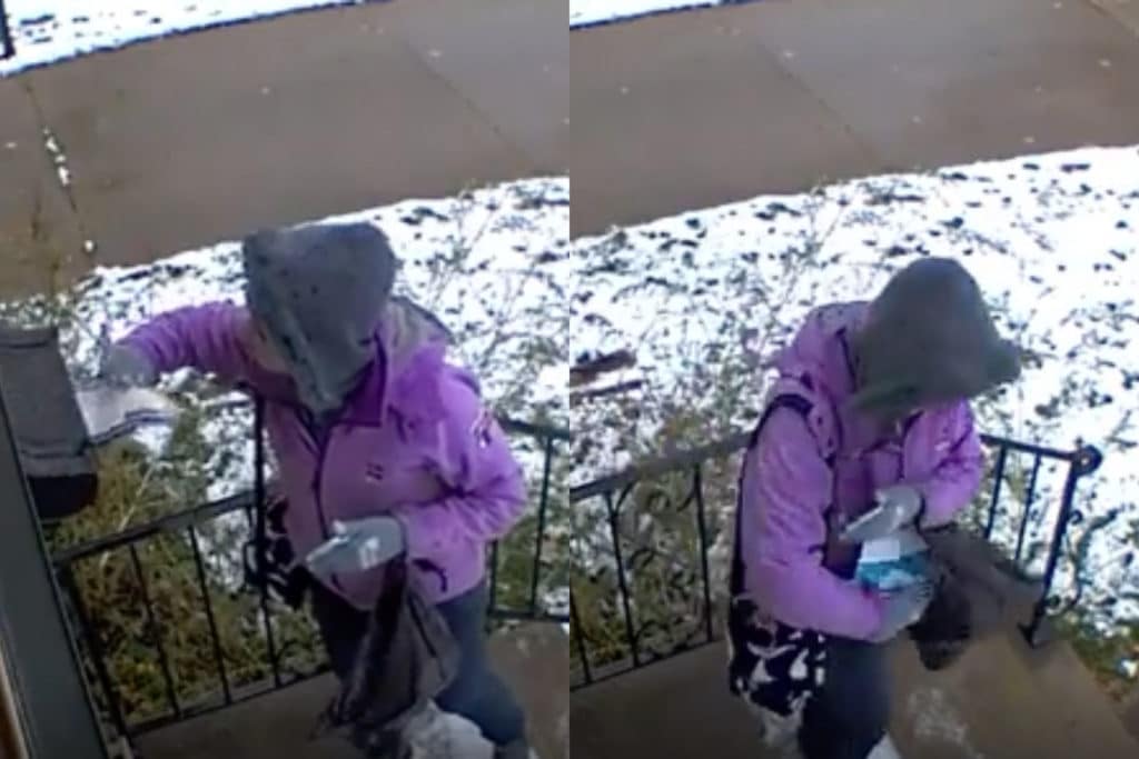 DFL volunteer charged after stealing GOP literature from resident's ...