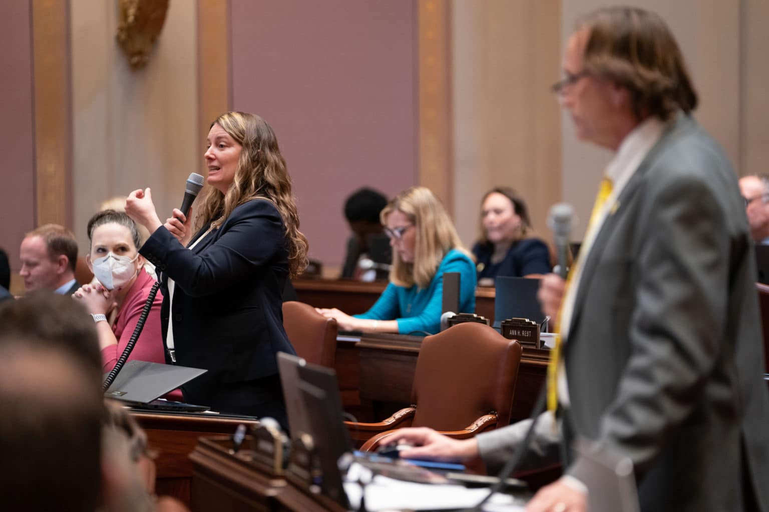Senate Democrats send abortion on demand bill to Walz's desk | Alpha ...