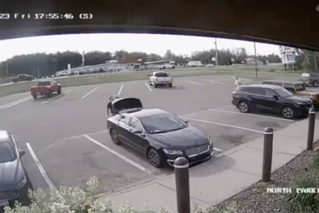 Security video captures DFL Rep. Wolgamott before DUI arrest | Alpha ...