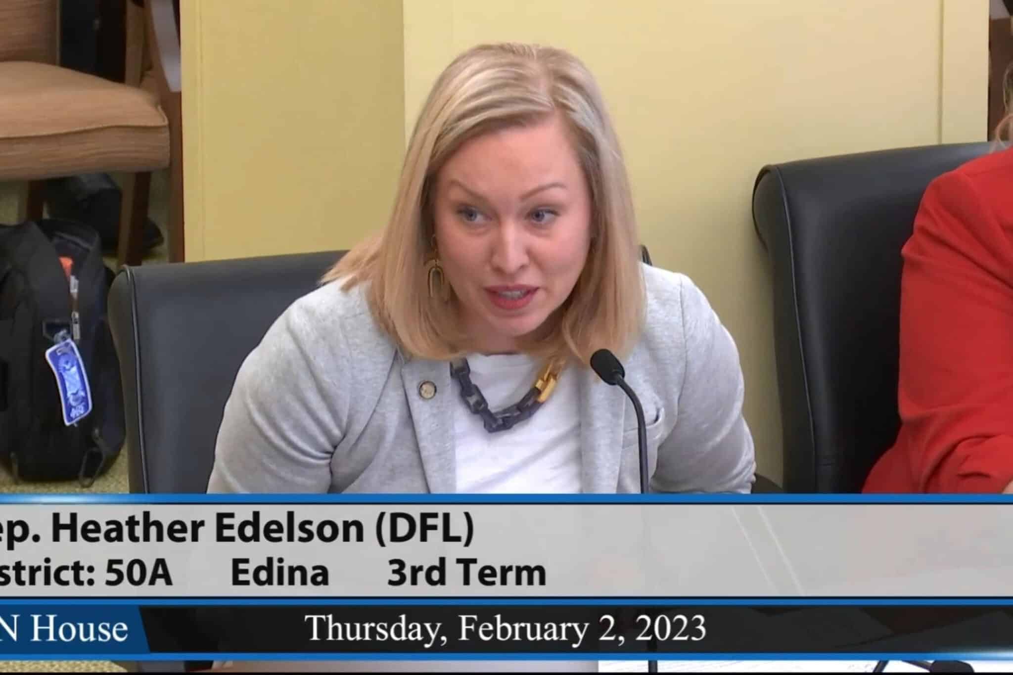 Edina DFLer says she won't seek fourth term in state House - Alpha News MN