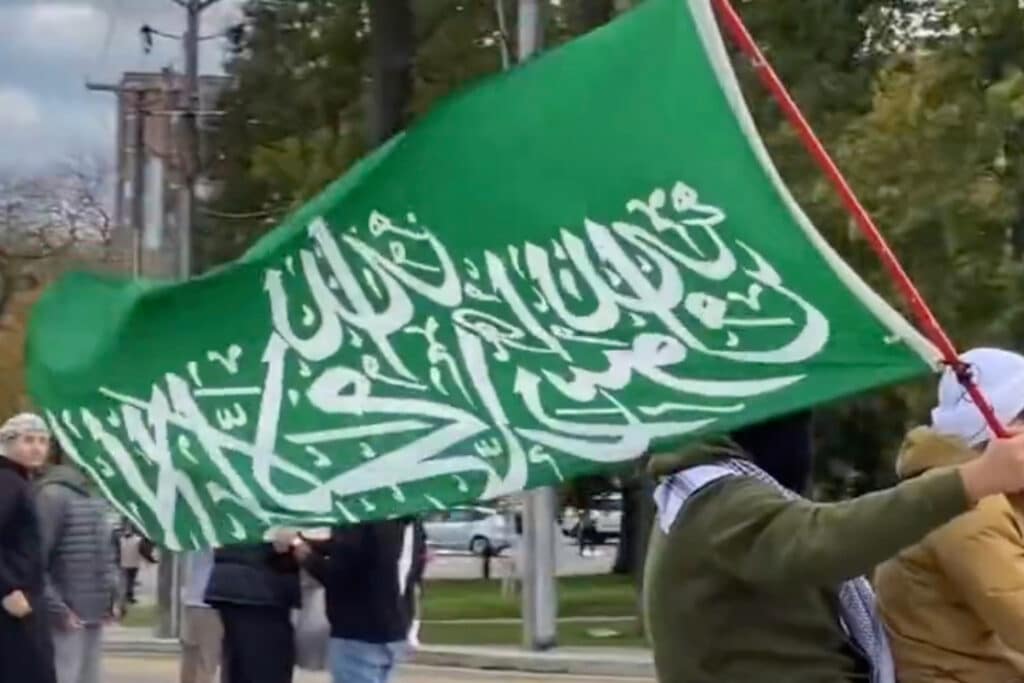 Driver mobbed and Hamas flag flown at pro-Palestine rally in ...