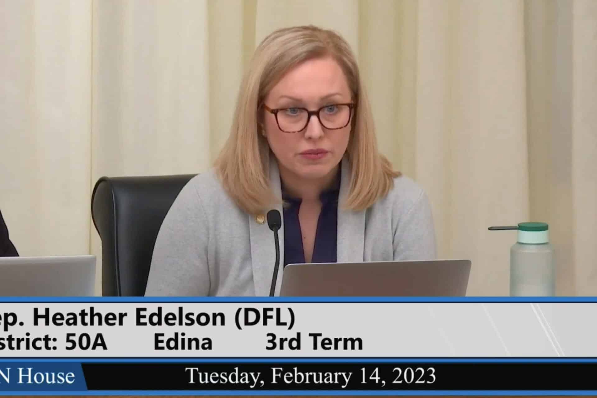 DFL legislator Heather Edelson enters the fray for vacant Hennepin ...