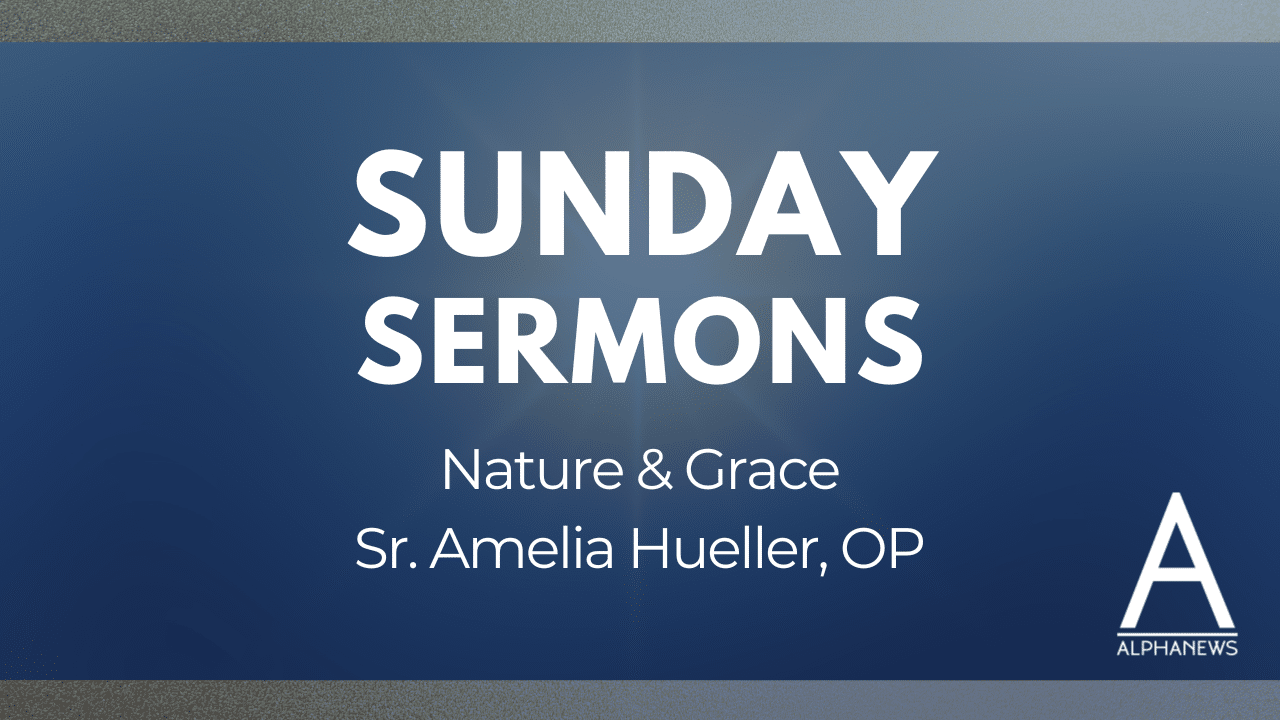 Sunday Sermon: Nature & Grace | Sr. Amelia Hueller - Alpha News MN