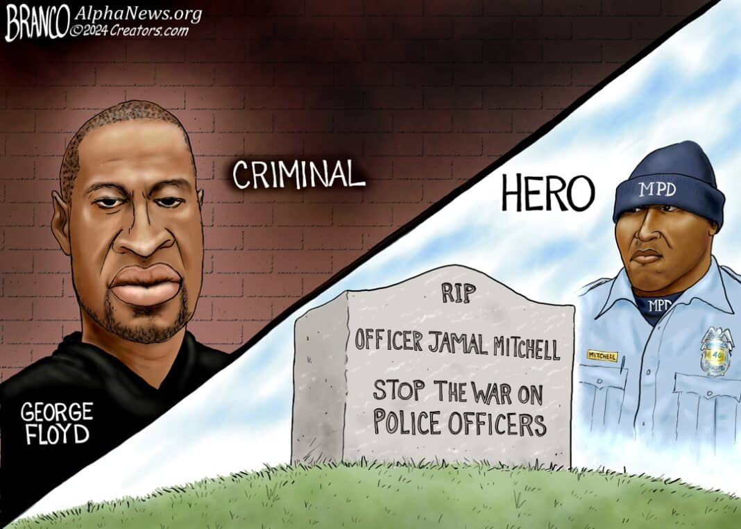 Alpha News cartoon: The difference | Alpha News MN