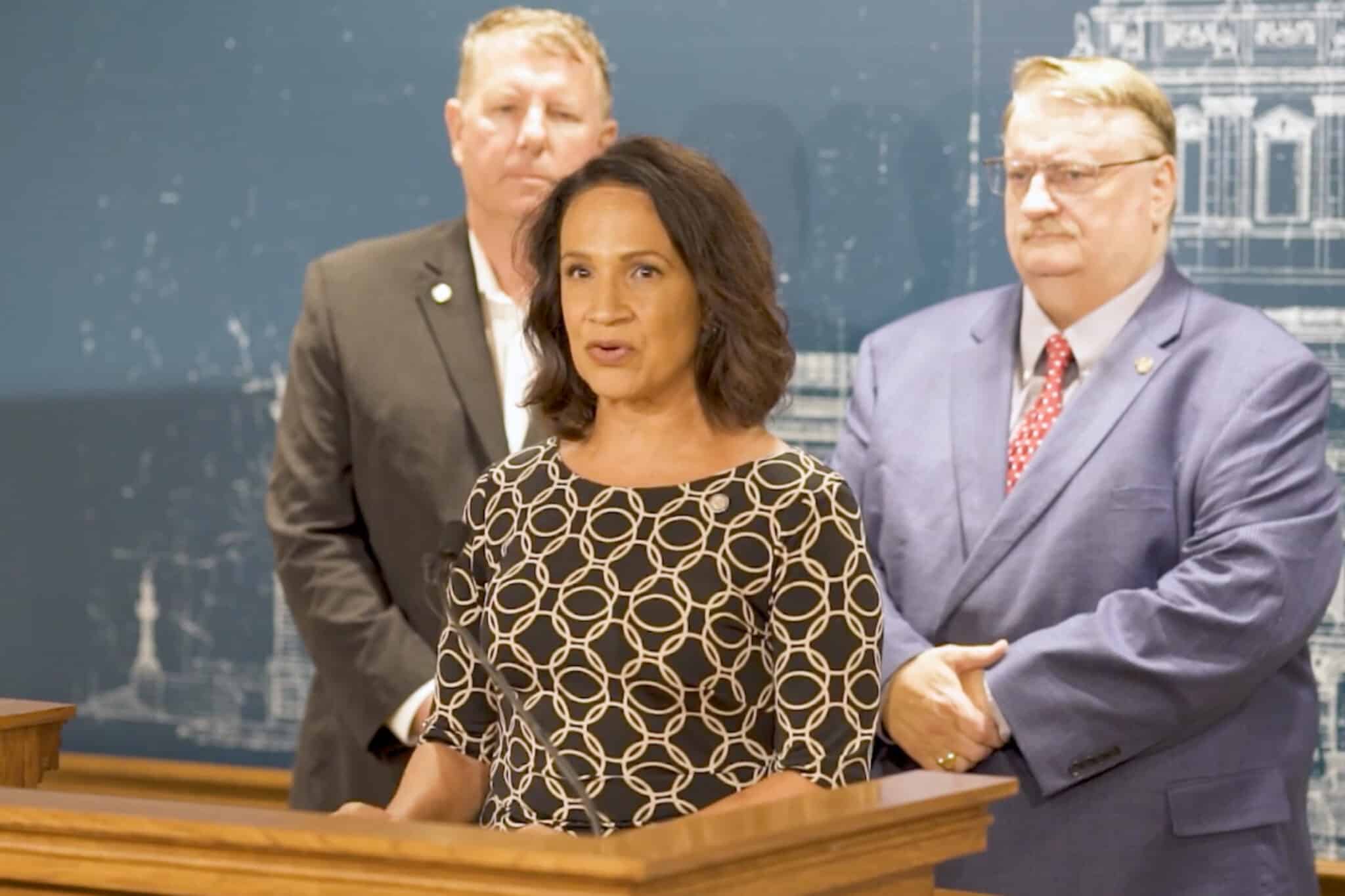 MN House Minority Leader Lisa Demuth says Democrats 'not holding anyone ...