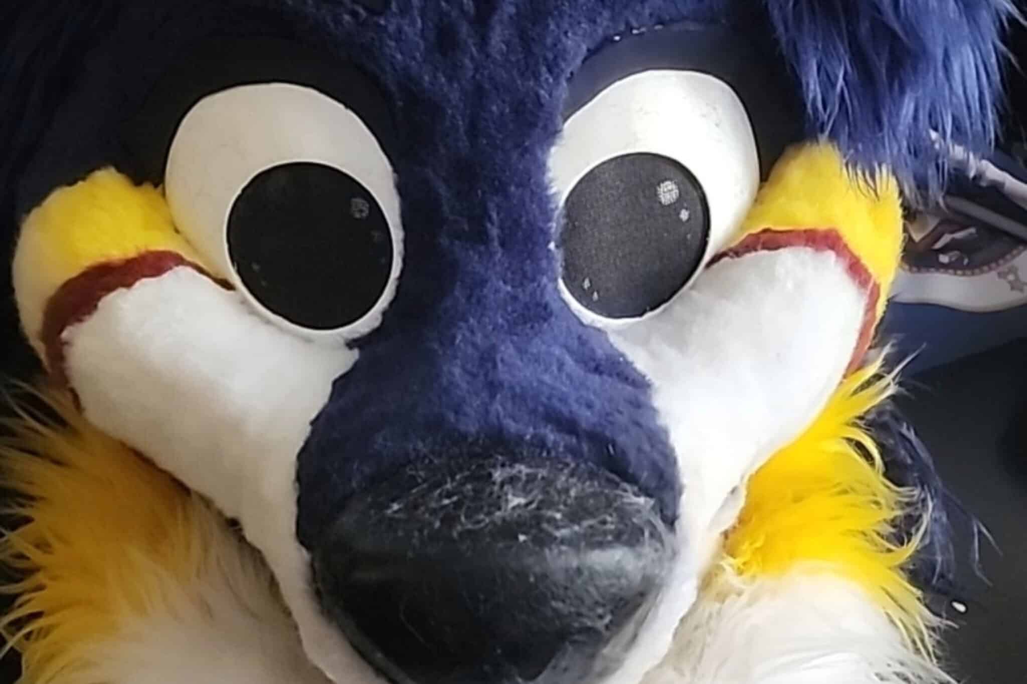 A 'furry' candidate makes a run for Maple Grove City Council | Alpha ...