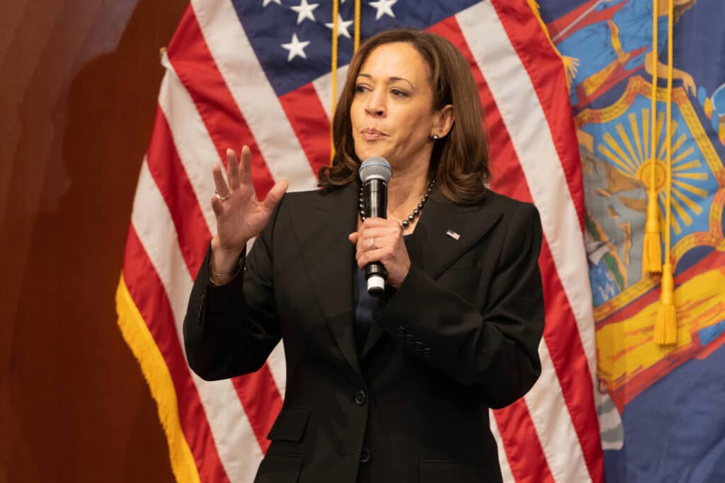 Former Obama economist slams Kamala Harris' plan for nationwide 'price ...