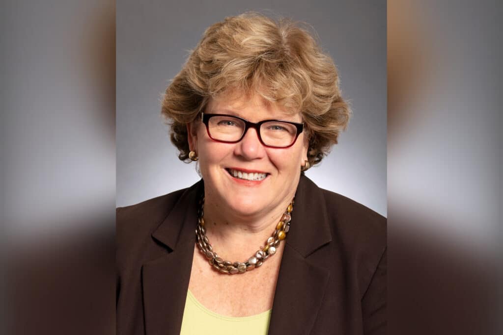 DFL candidate Ann Johnson Stewart supported bail reform, Mary Moriarty ...