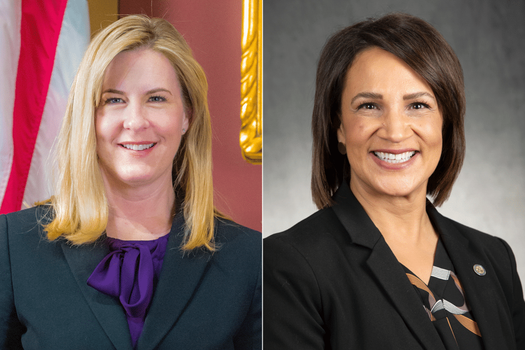 In evenly-divided House, legislative committees will feature DFL and ...