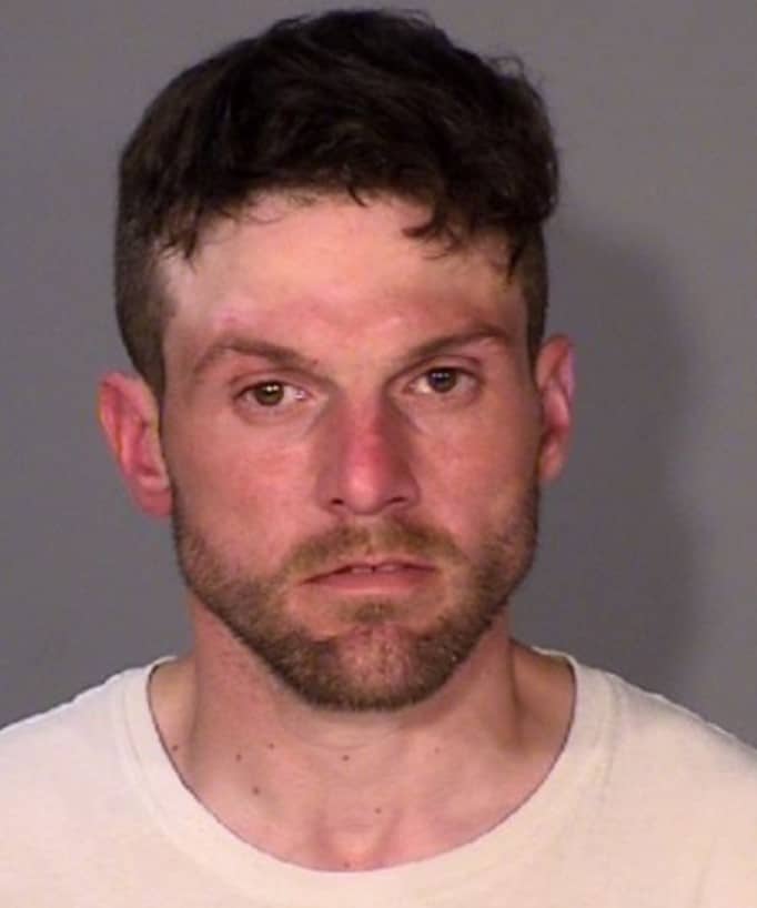 Roseville chronic offender charged with vehicular homicide after ...