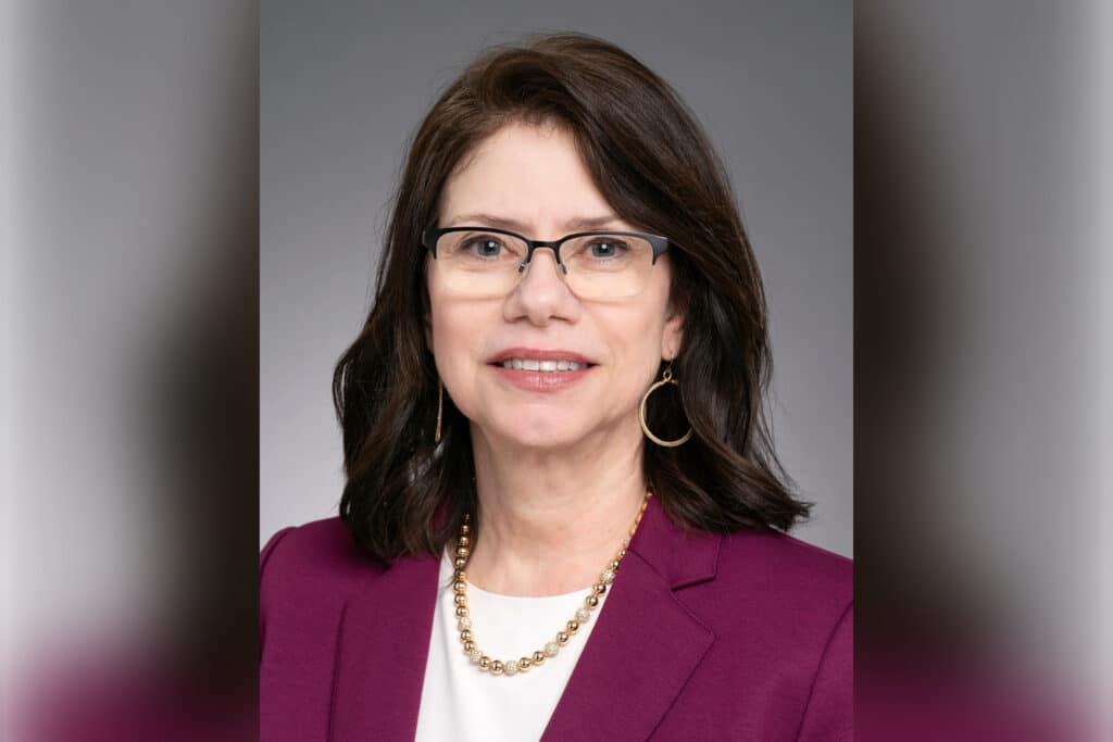 State senator, former majority leader Kari Dziedzic dies of cancer