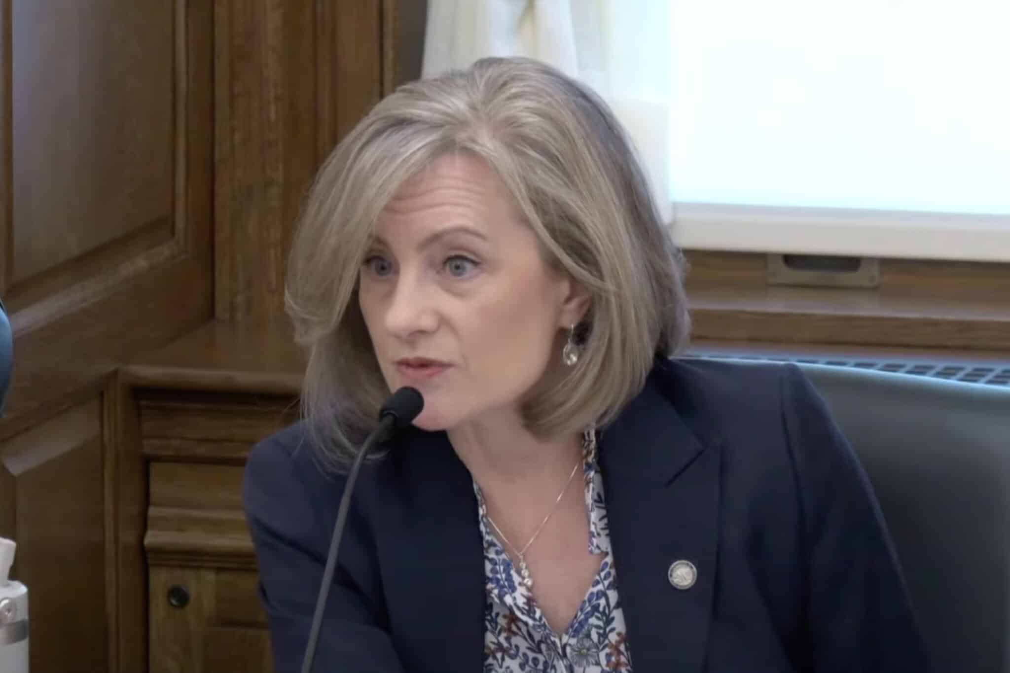 New fraud prevention and oversight committee holds first hearing in ...