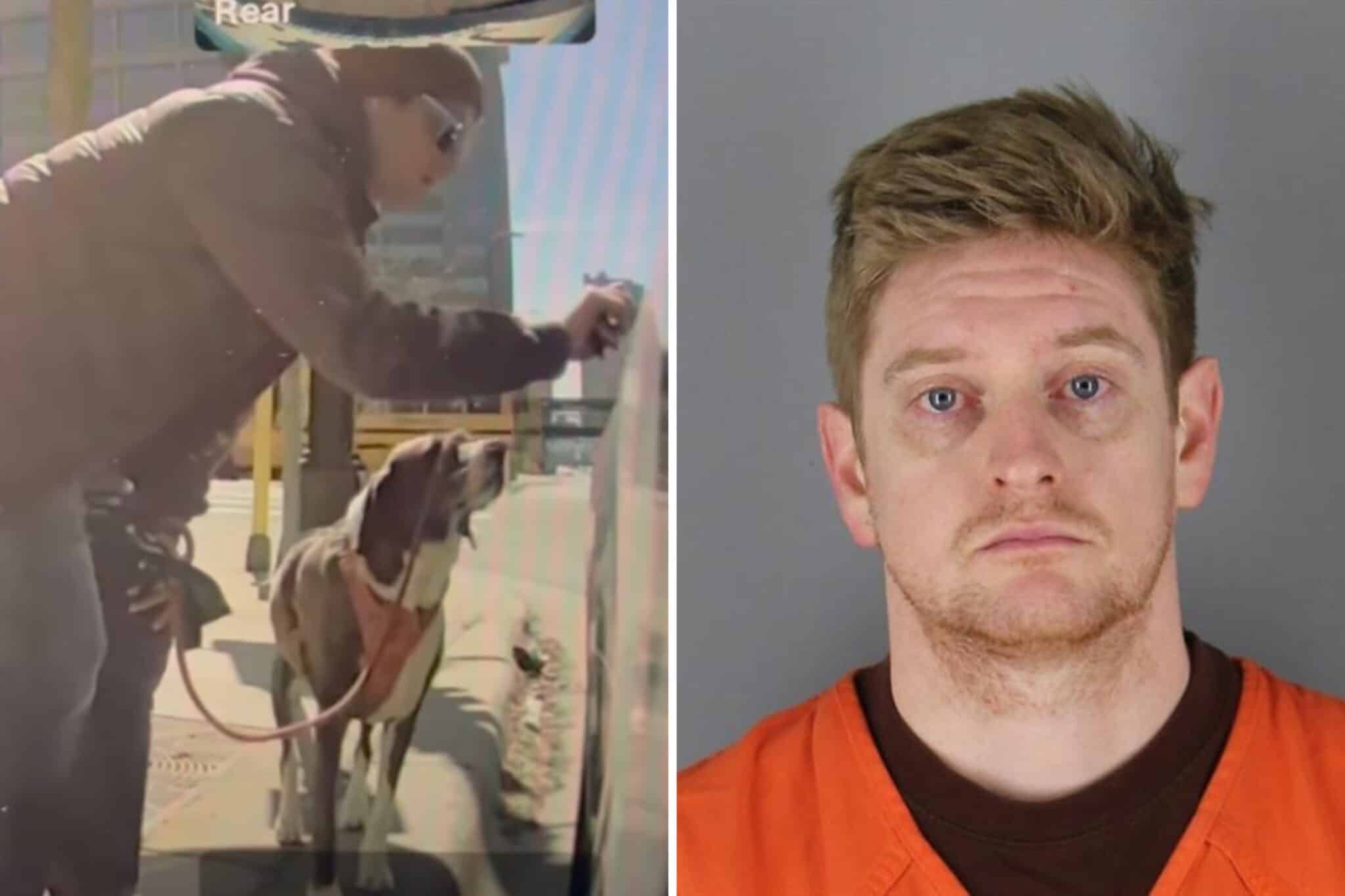 UPDATE: Minnesota DHS employee who went on Tesla vandalism spree still ...