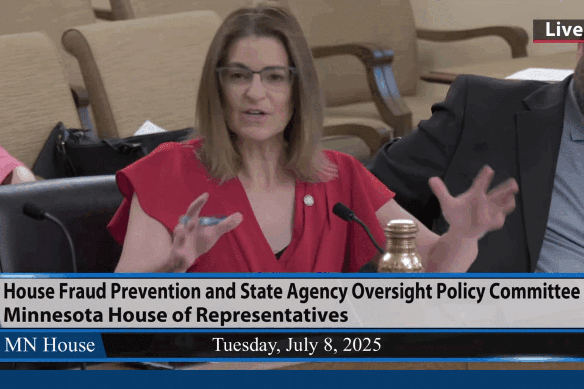 GOP legislators grill new DHS commissioner, inspector general about ...