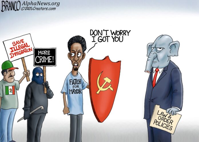 Alpha News – Minnesota and National News | Alpha News MN