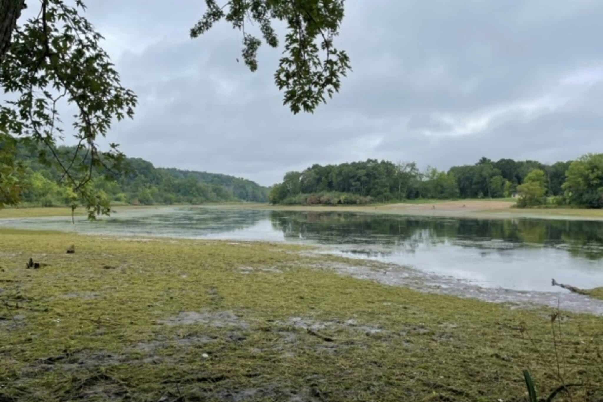 Entire Minnesota lake vanishes, killing most fish, after DNR valve failure