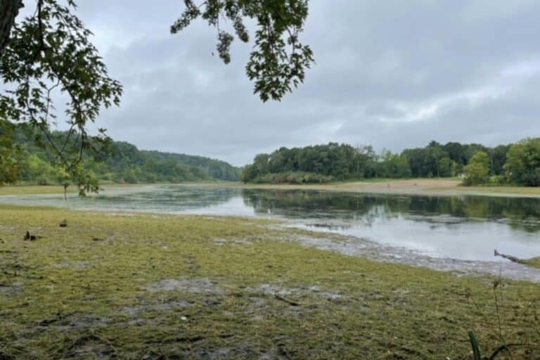Entire Minnesota lake vanishes, killing most fish, after DNR valve failure