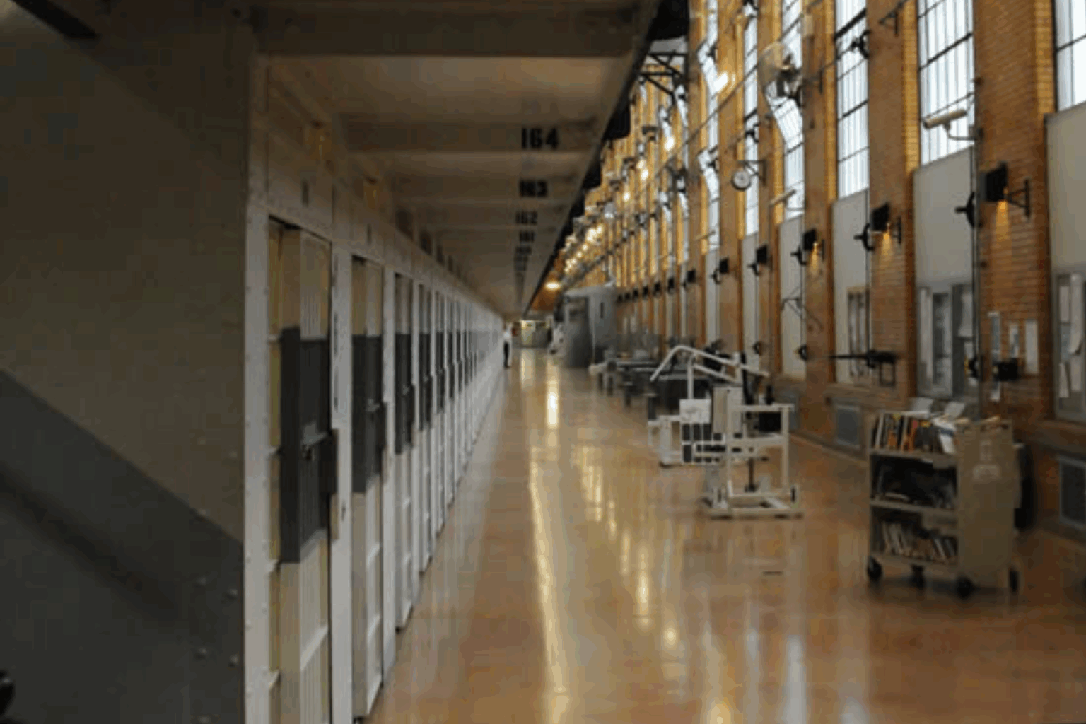 Minnesota corrections dept. draws criticism amidst prison closure, K-9 ...