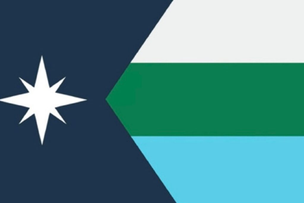 The man behind Minnesota's new flag: social media posts reveal striking ...
