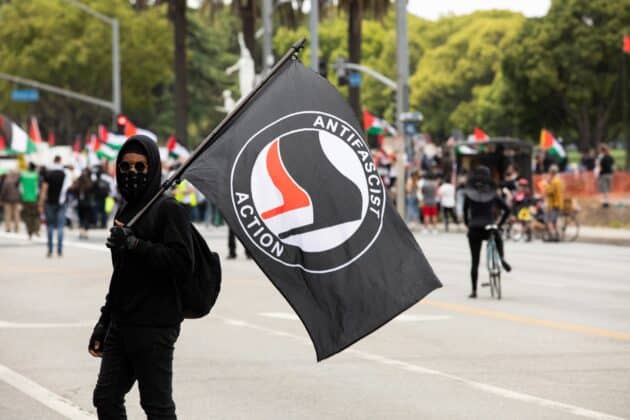 Poll: Americans support Antifa terror designation | Alpha News MN