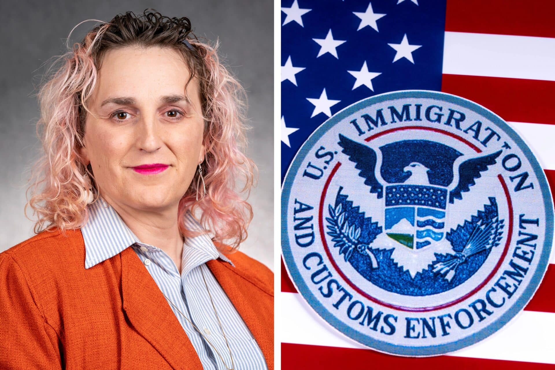 Minnesota Dem Leigh Finke calls ICE 'Gestapo' after St. Paul raid, says ...