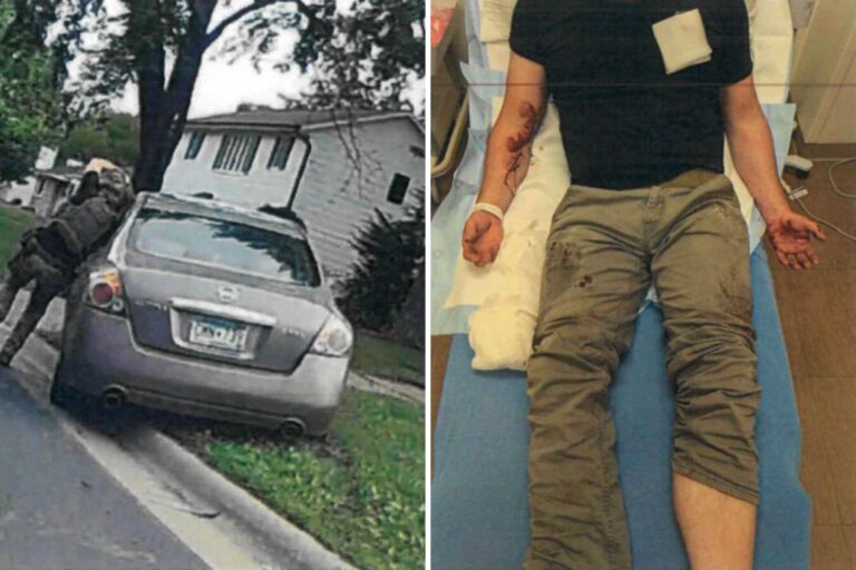 ICE officer at center of Minneapolis shooting was previously dragged by ...