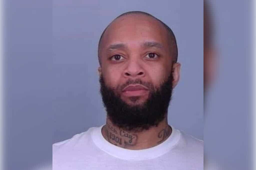 Minneapolis 'Lows' gang member pleads guilty to RICO conspiracy | Alpha ...