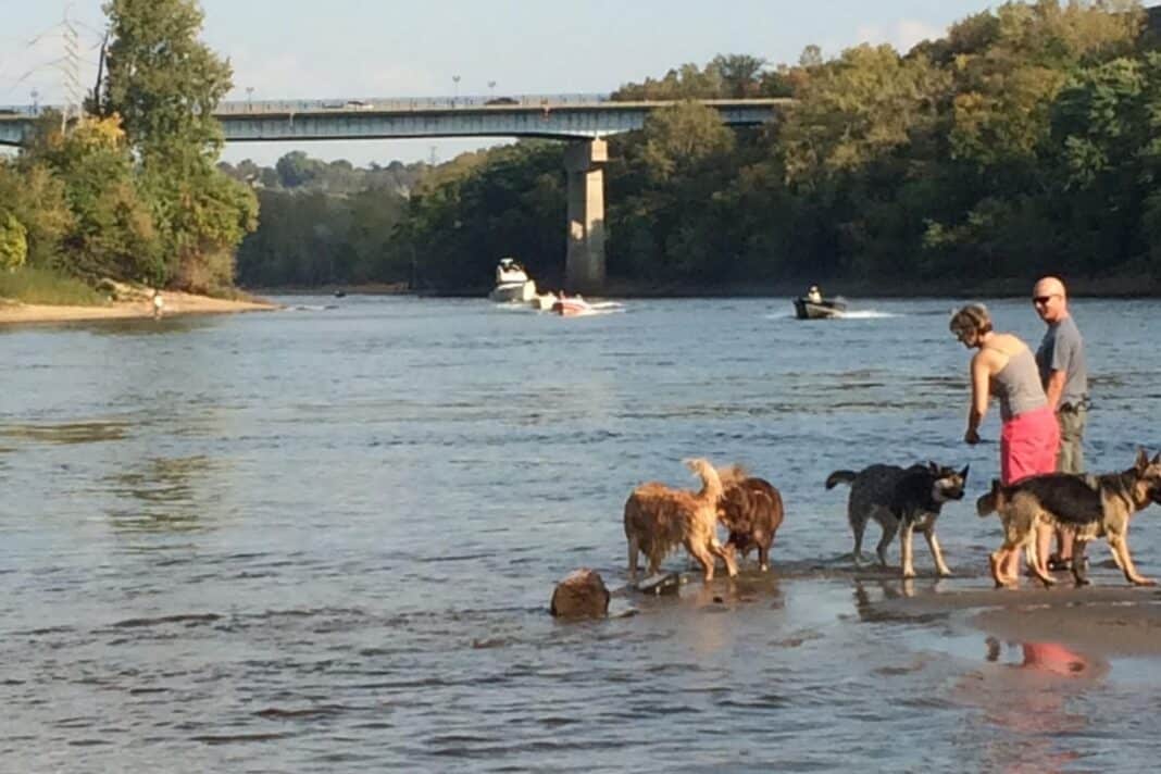 Minneapolis considers closing popular dog park because the land is ...