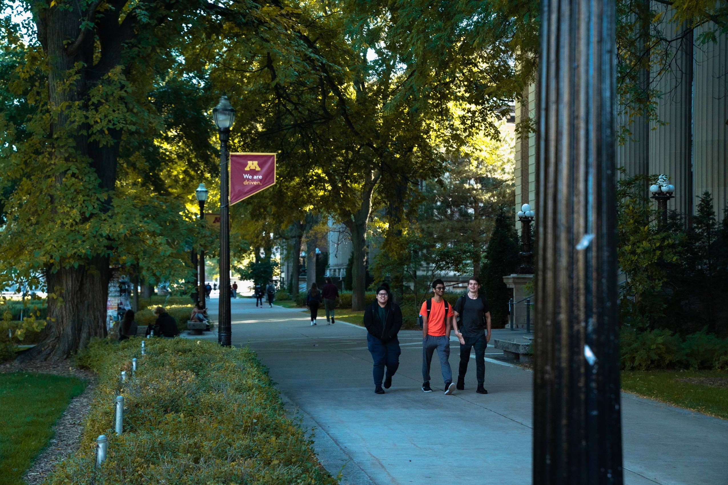 Conservative group sues University of Minnesota over transgender ...