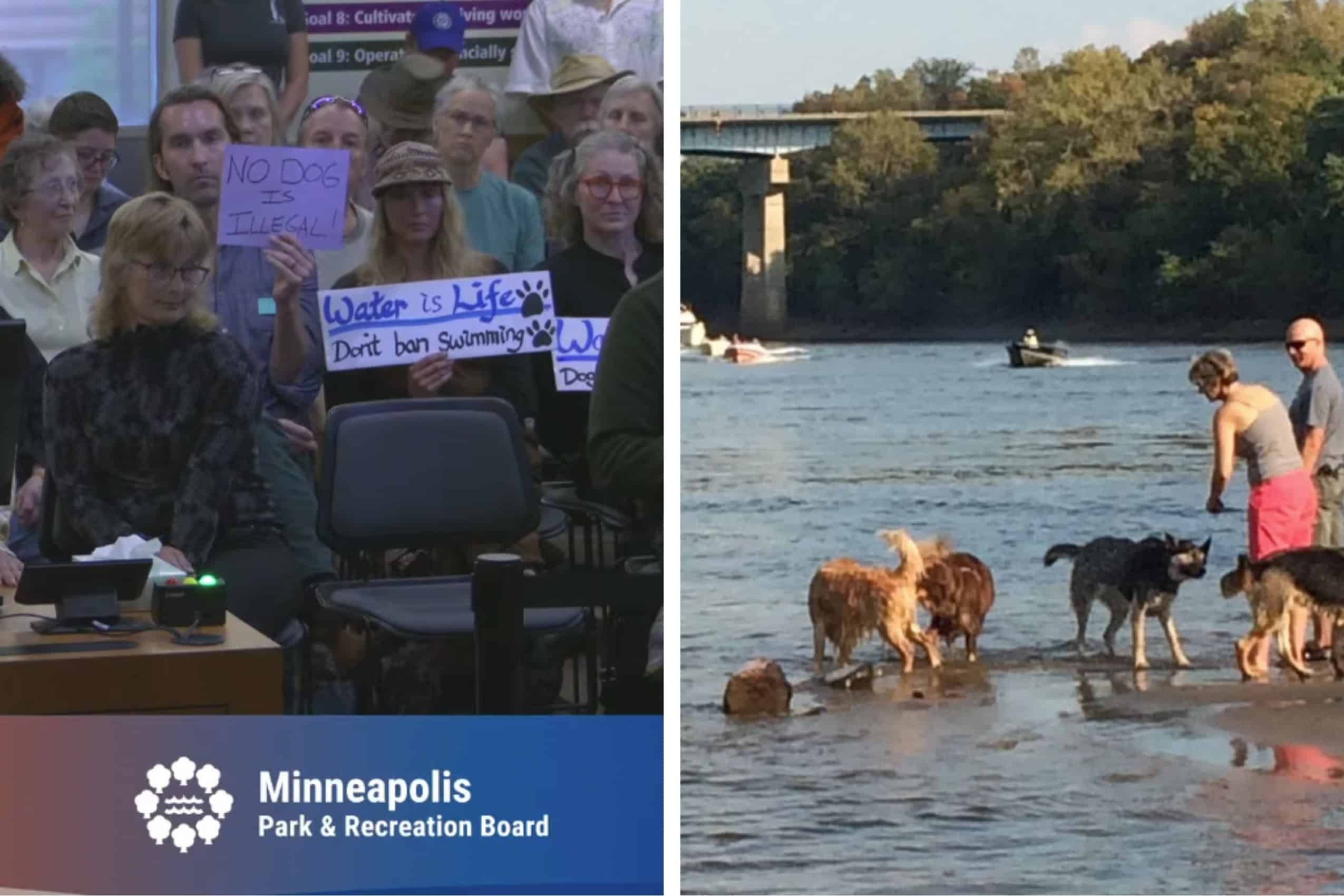 Minneapolis Park Board votes to close popular off-leash dog park ...